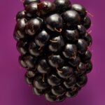 Food Photographer - Scott Choucino